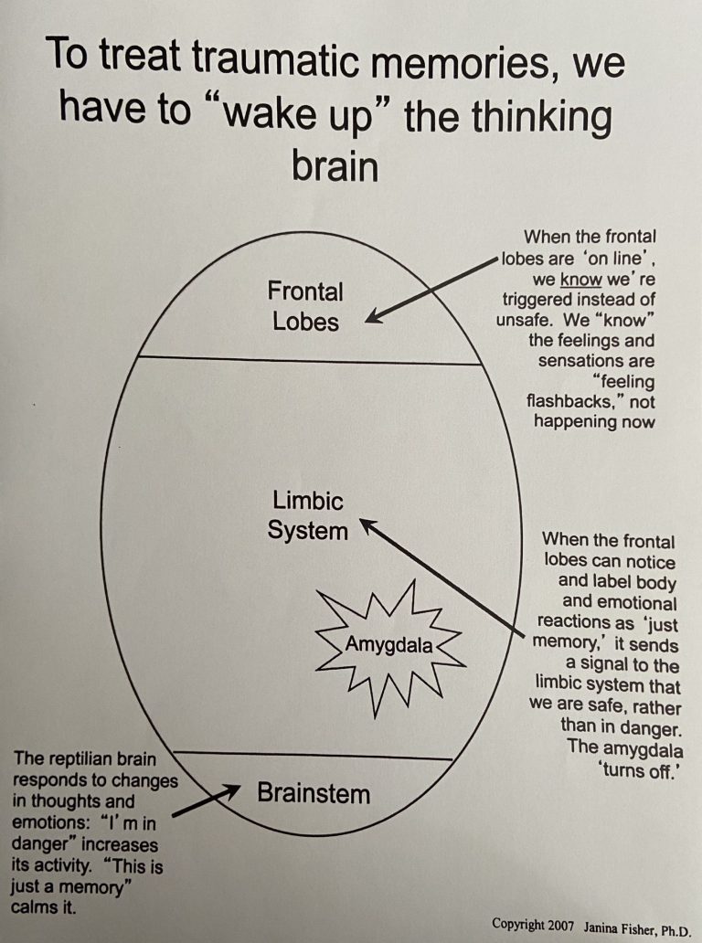 thinking brain heal trauma – The Growing Heart